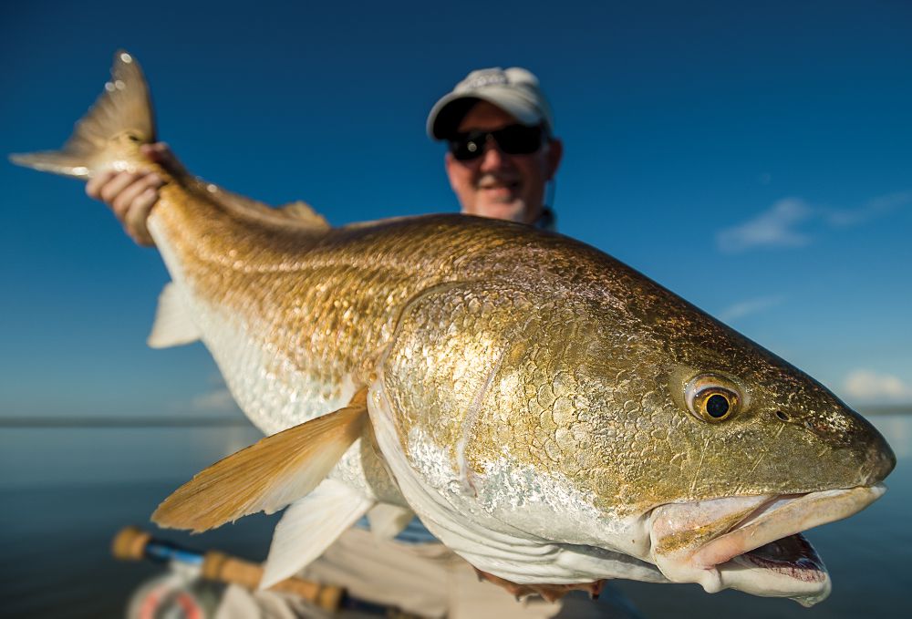 Bull Redfish in North Carolina's Neuse River — Eastern Outfitters